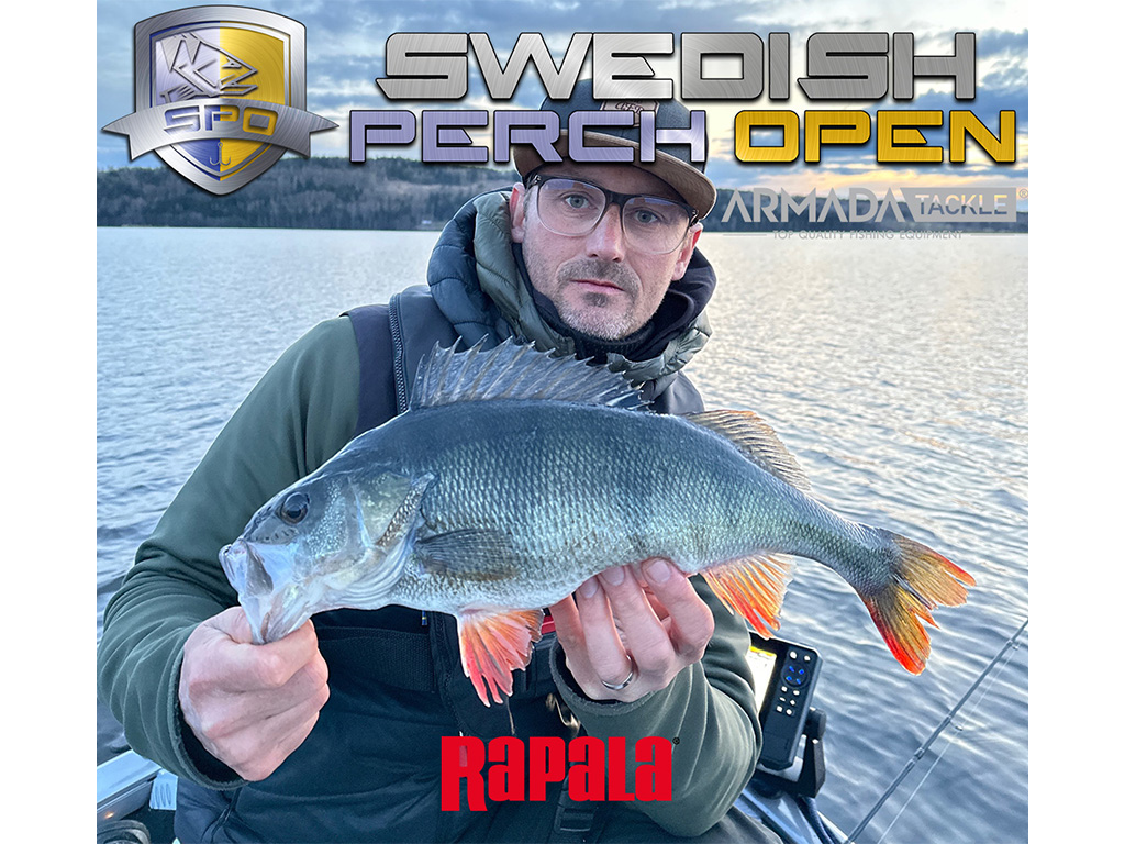 Nya stora abborrar i Swedish Perch Open! | FishEco