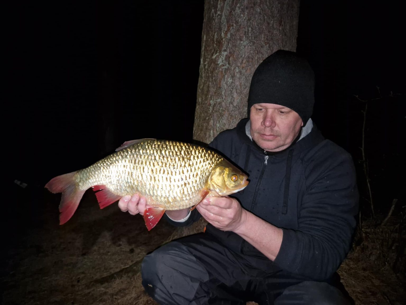Fantastiska nya svenska rekord på sarv! | FishEco