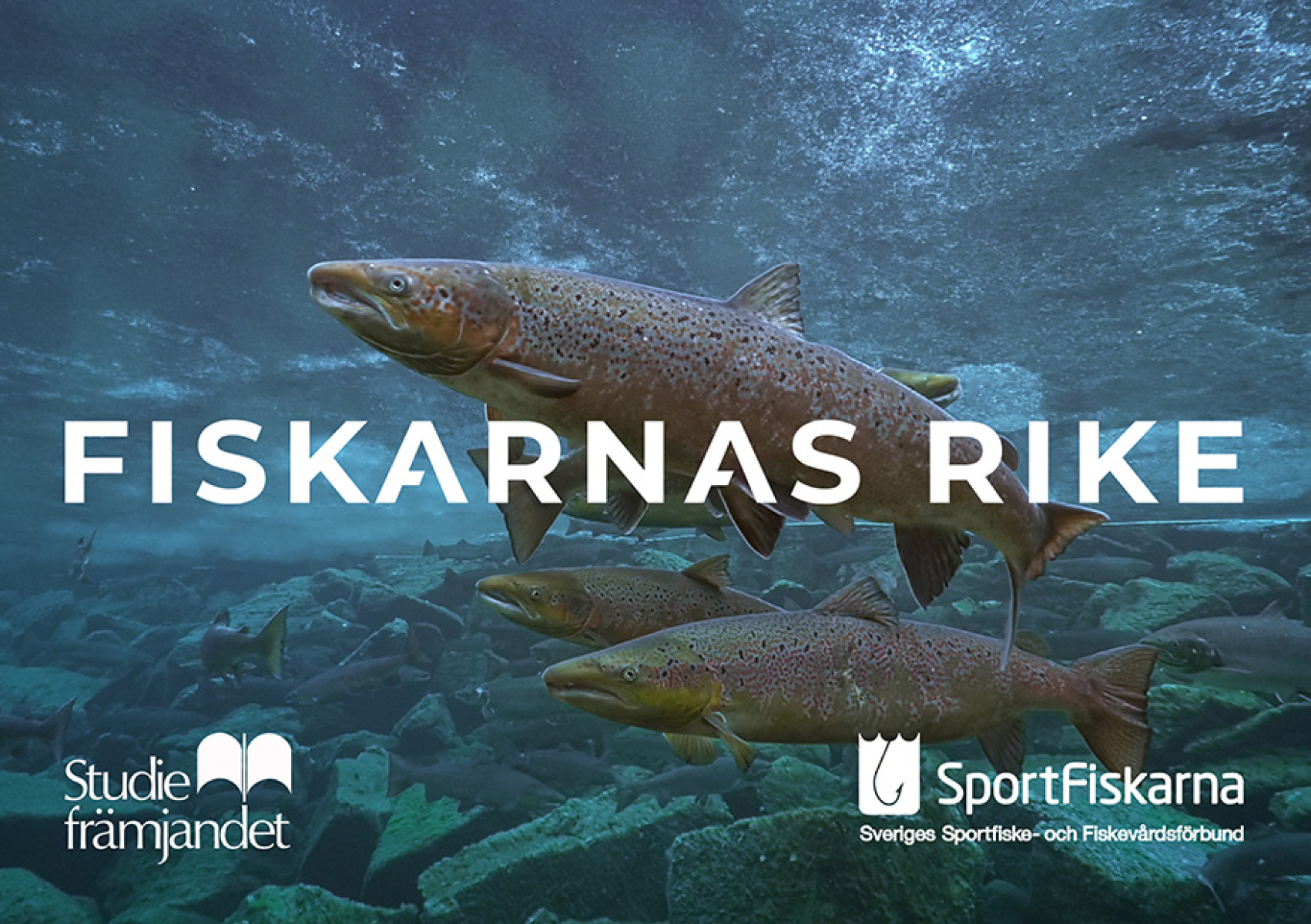 Fiskarnas Rike - föreläsningsturnén med Martin Falklind kommer till ...