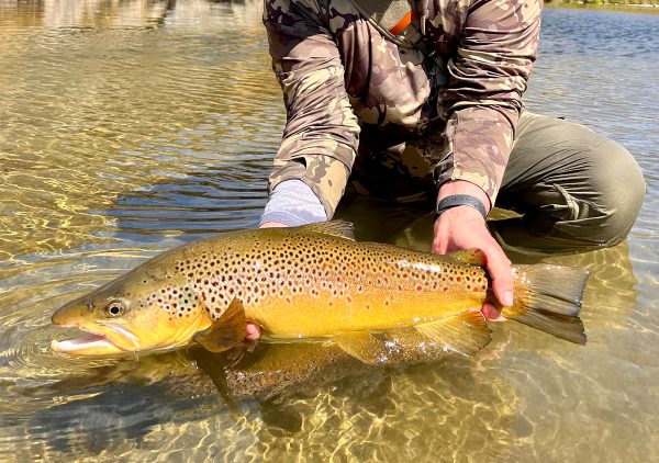 Fiskare söker äventyrspartner till Nya Zeeland! | FishEco